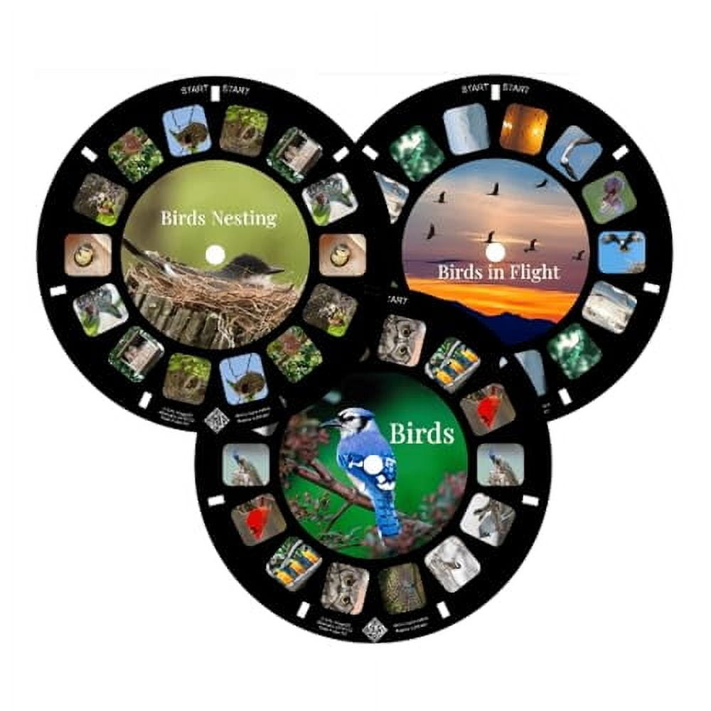 MayKo Bird Reels for Viewfinder Compatible View Master Viewers. Set of ...