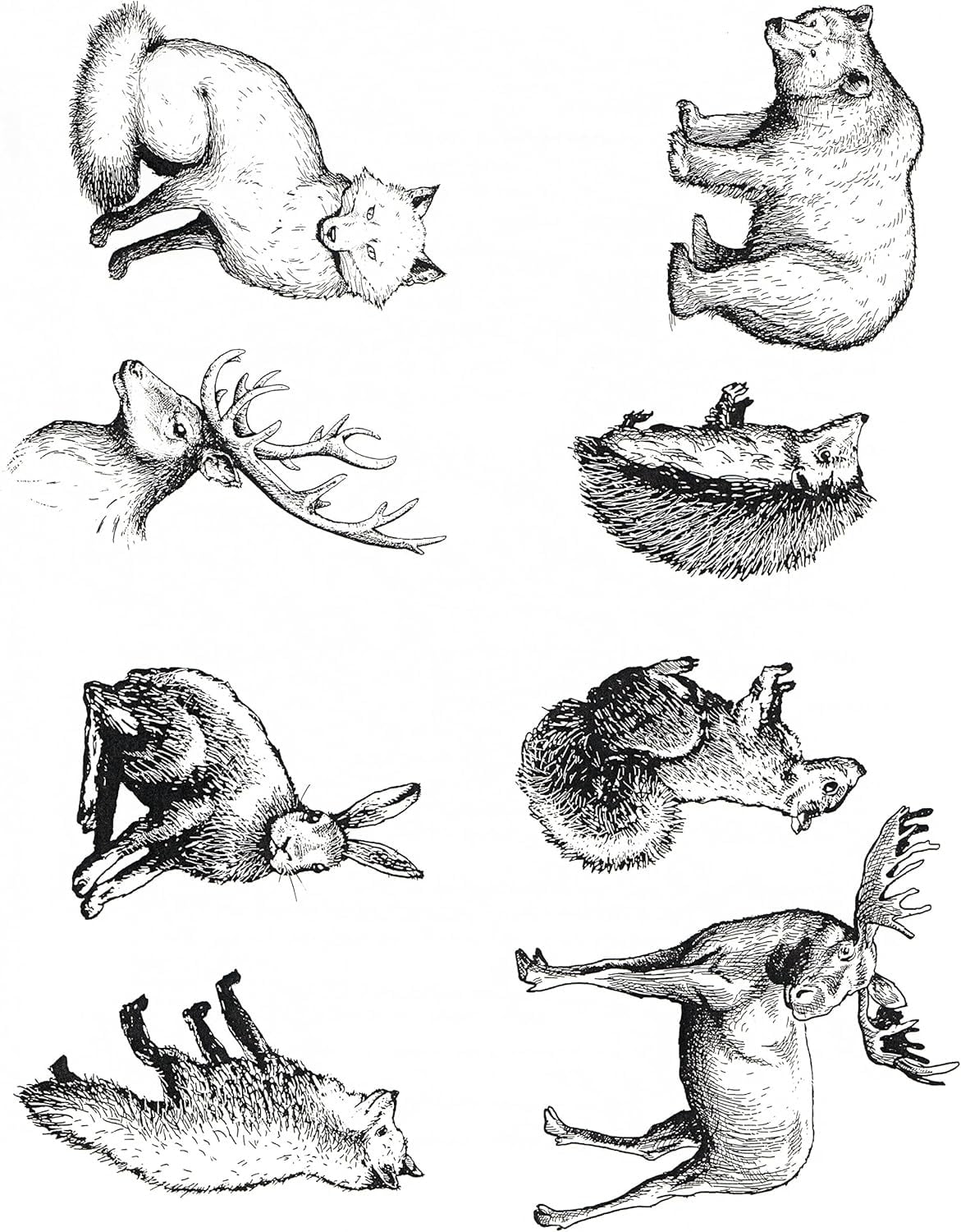 Mayco Designer Silkscreens DSS-101 Woodland Animal Designs, for Adding ...