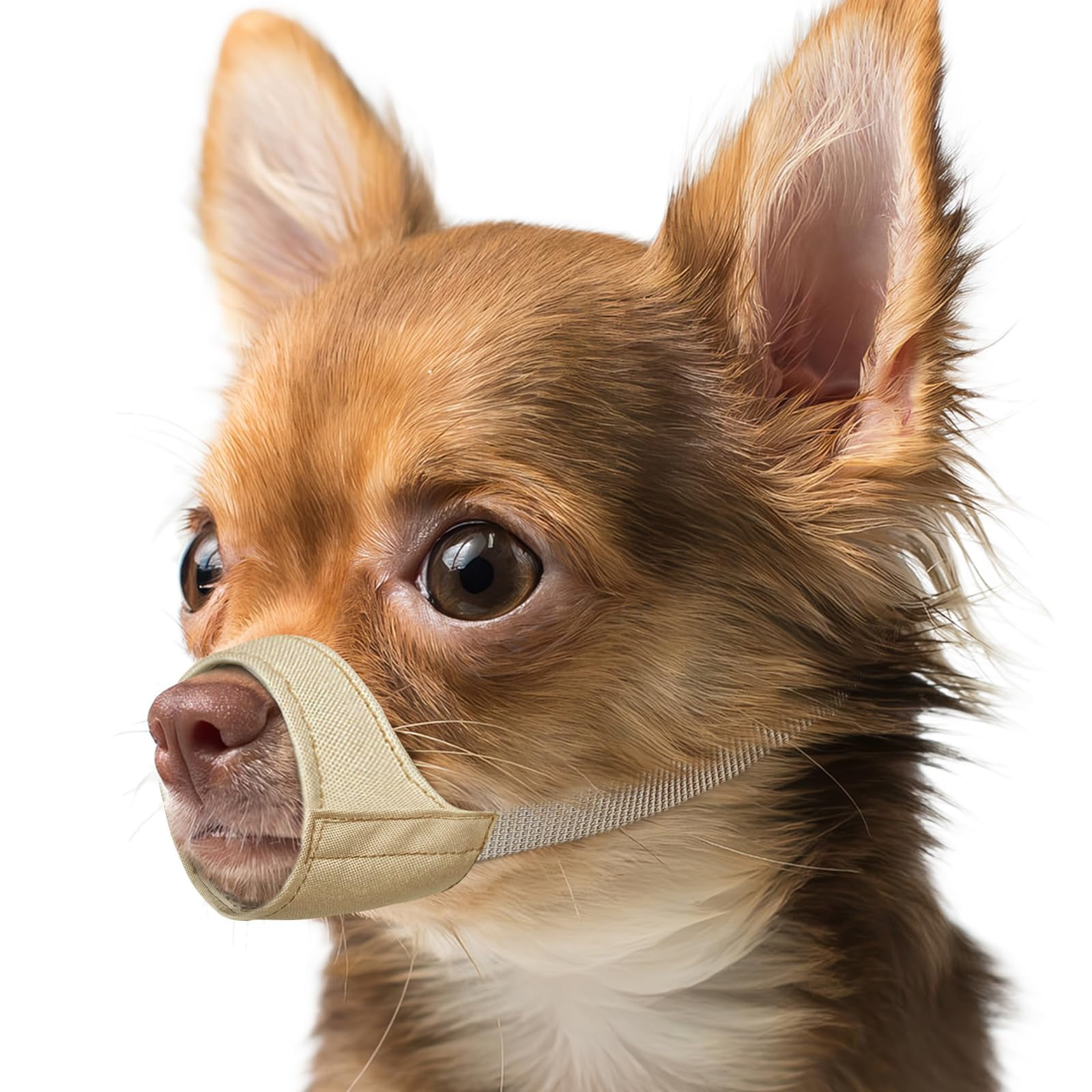 Mayerzon Short Snout Dog Muzzle, Small ATT1Muzzle for Chihuahua Shih ...
