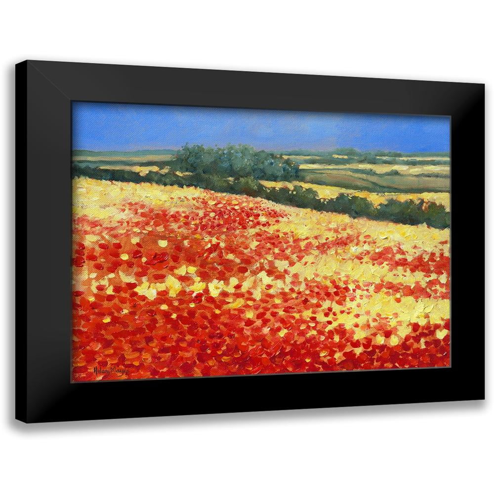 Mayes, Hilary 14x12 Black Modern Framed Museum Art Print Titled ...