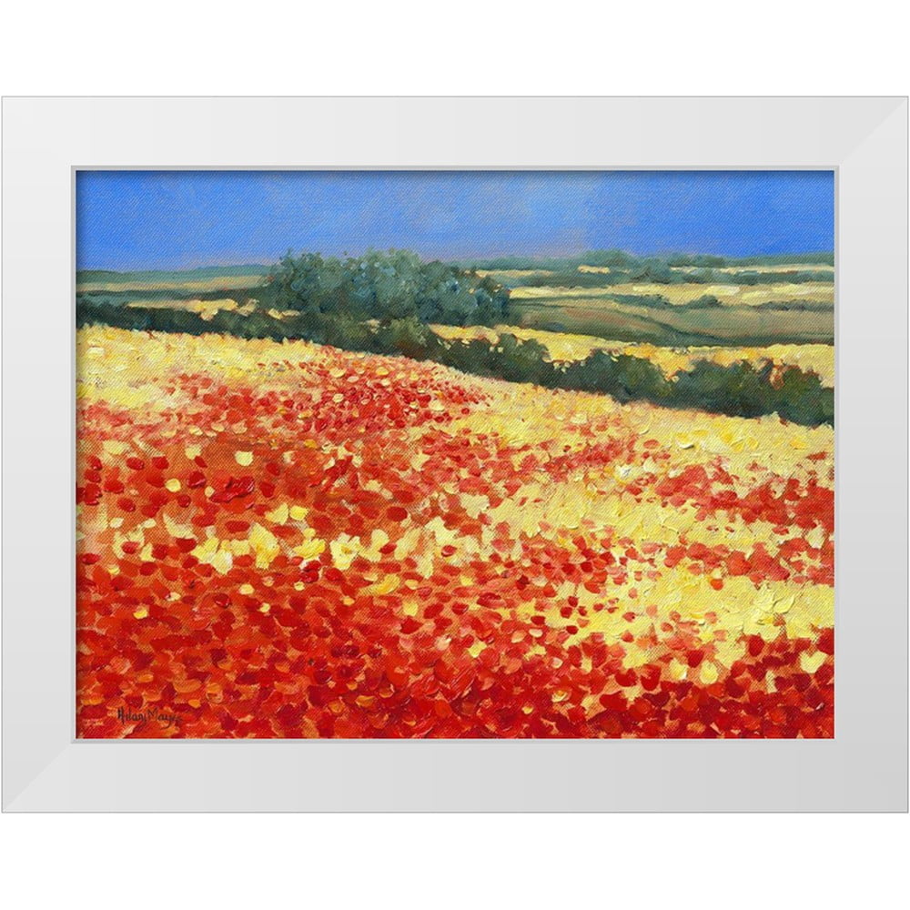 Mayes, Hilary 24x19 White Modern Wood Framed Museum Art Print Titled ...