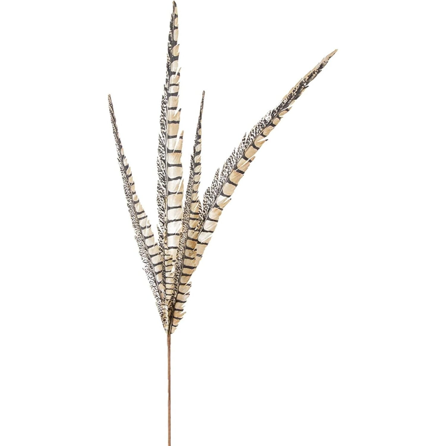 Maykoosh Urban Oasis Faux Pheasant Feather Pick (Set Of 12) - Walmart.com