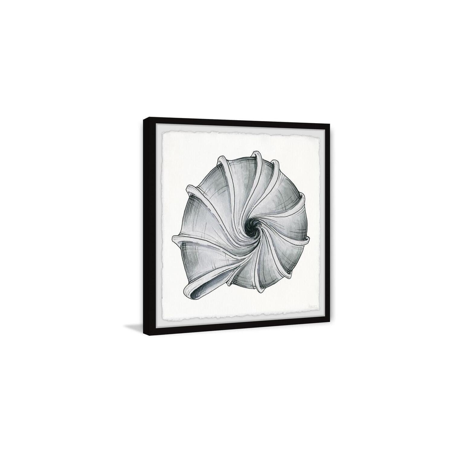 HomeStock Southwestern Style Twirling Shell Framed Painting Print, 12 ...