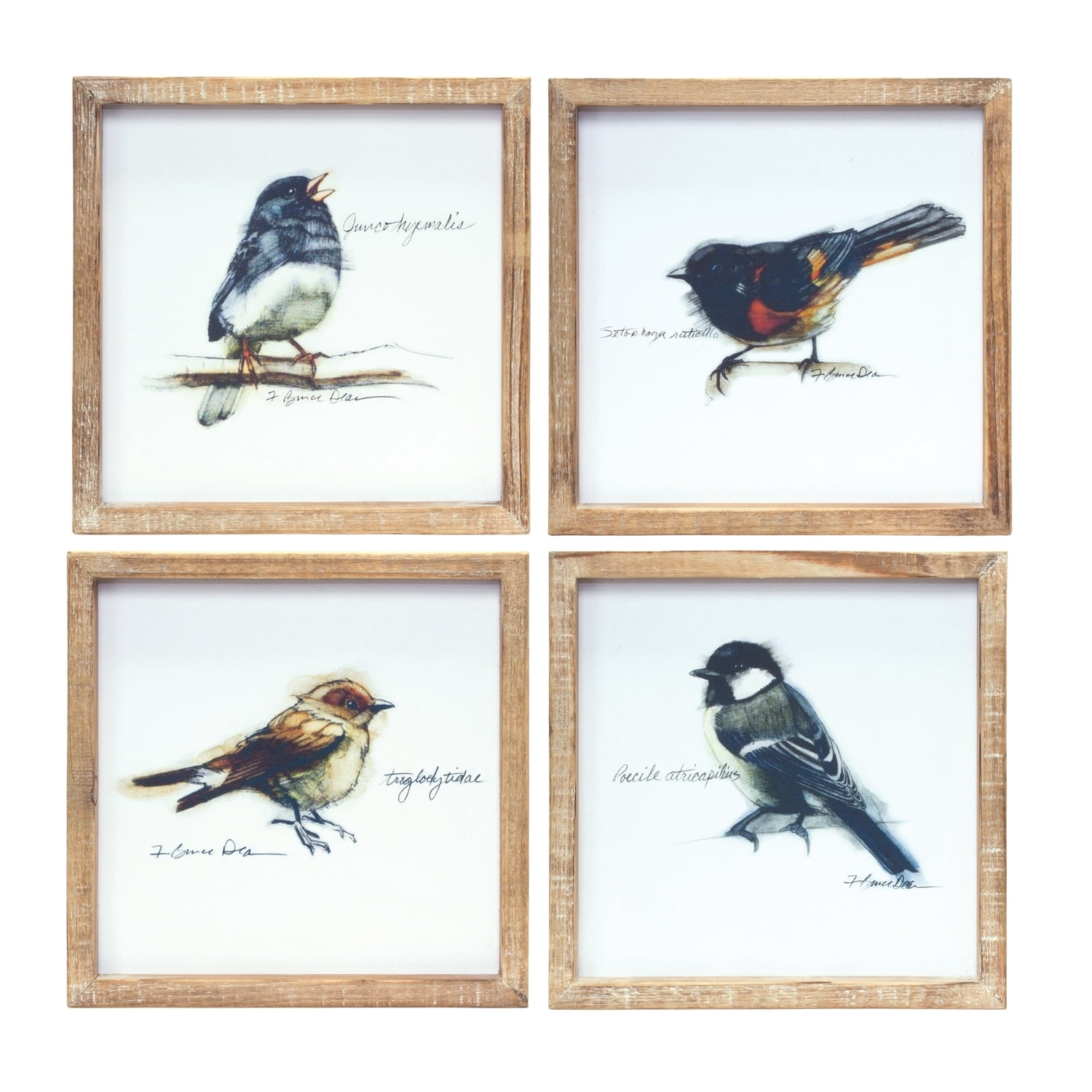Bird Wall Art Prints Set of 4, Wood Frame Nature Decor, Home Living ...