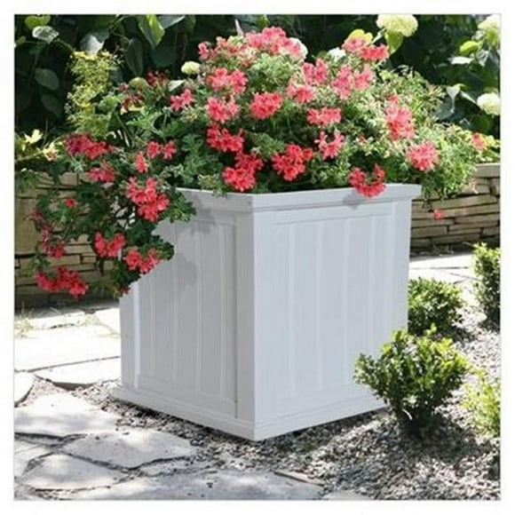 White Square Planter
