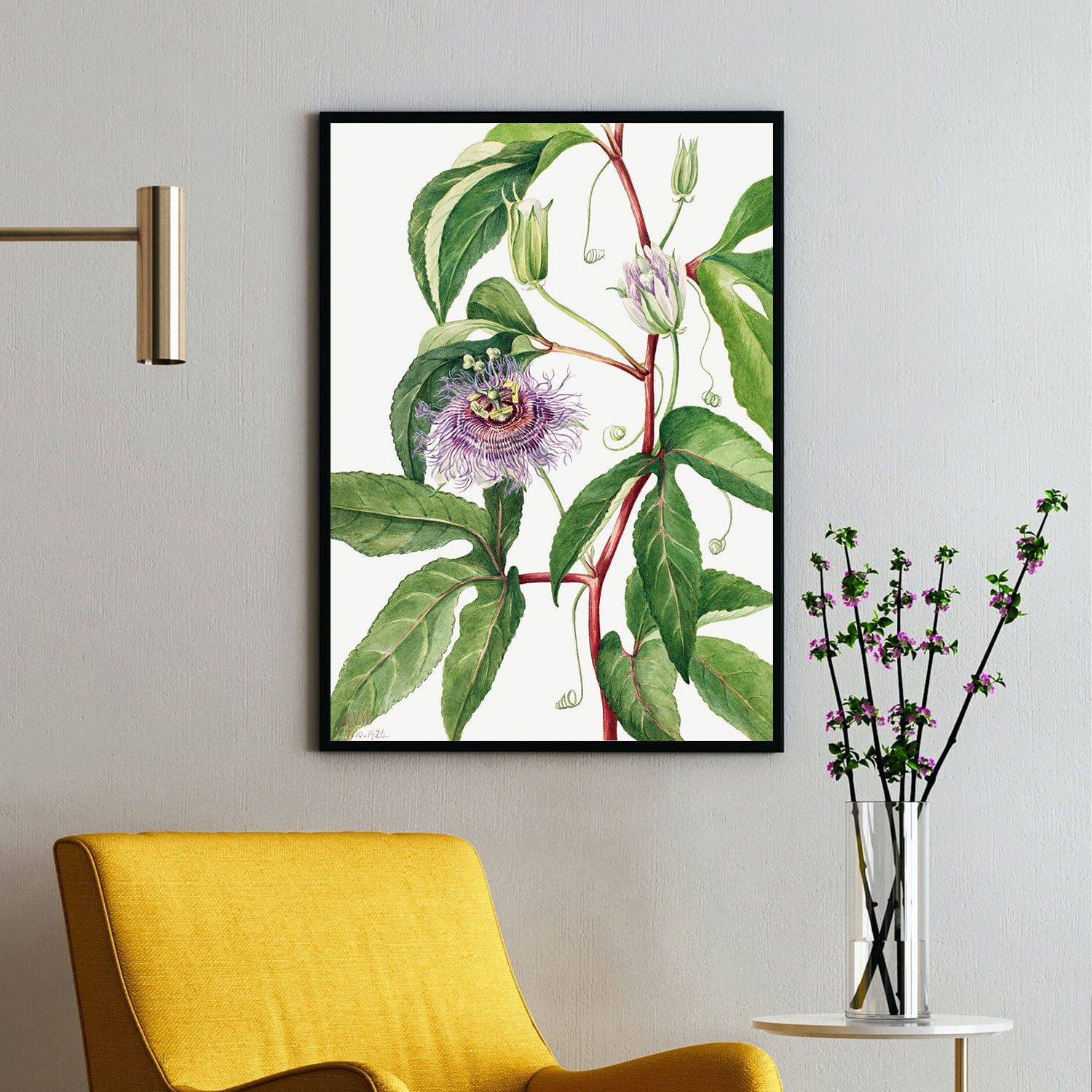 Maypop - Passiflora incarnata - 1926 | Mary Vaux Walcott | Premium Fine ...