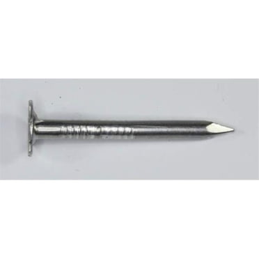 Maze Nails SS5WS-5 5D 1.75 in. Stainless Steel Ring Shank Siding Nail ...