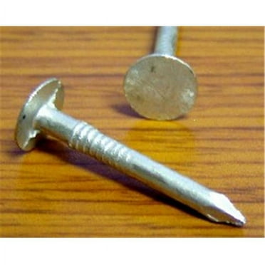 Maze Nails SS5WS-5 5D 1.75 in. Stainless Steel Ring Shank Siding Nail ...