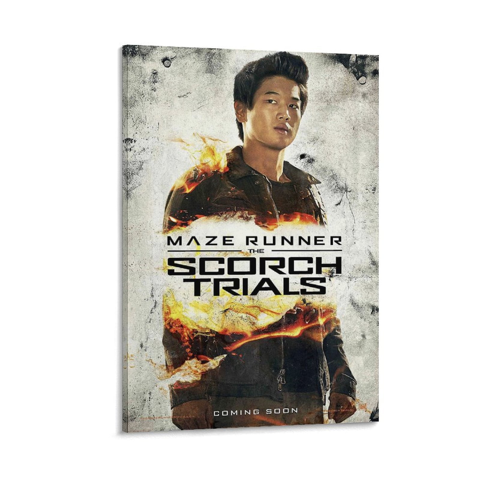 Maze Runner Scorch Trials - Movie Poster Minho Poster Cool Artworks ...