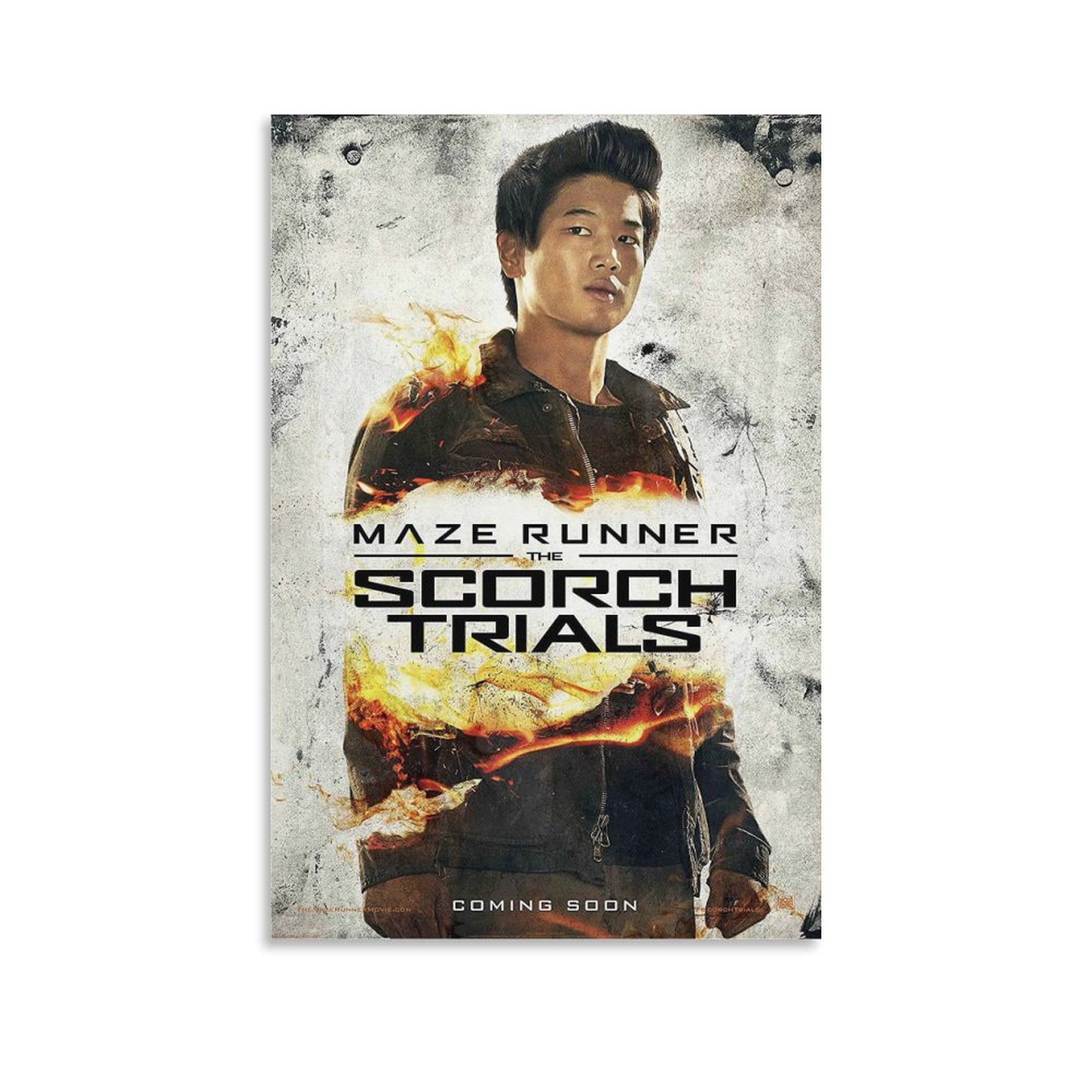 Maze Runner Scorch Trials - Movie Poster Minho Picture Print Wall Art ...
