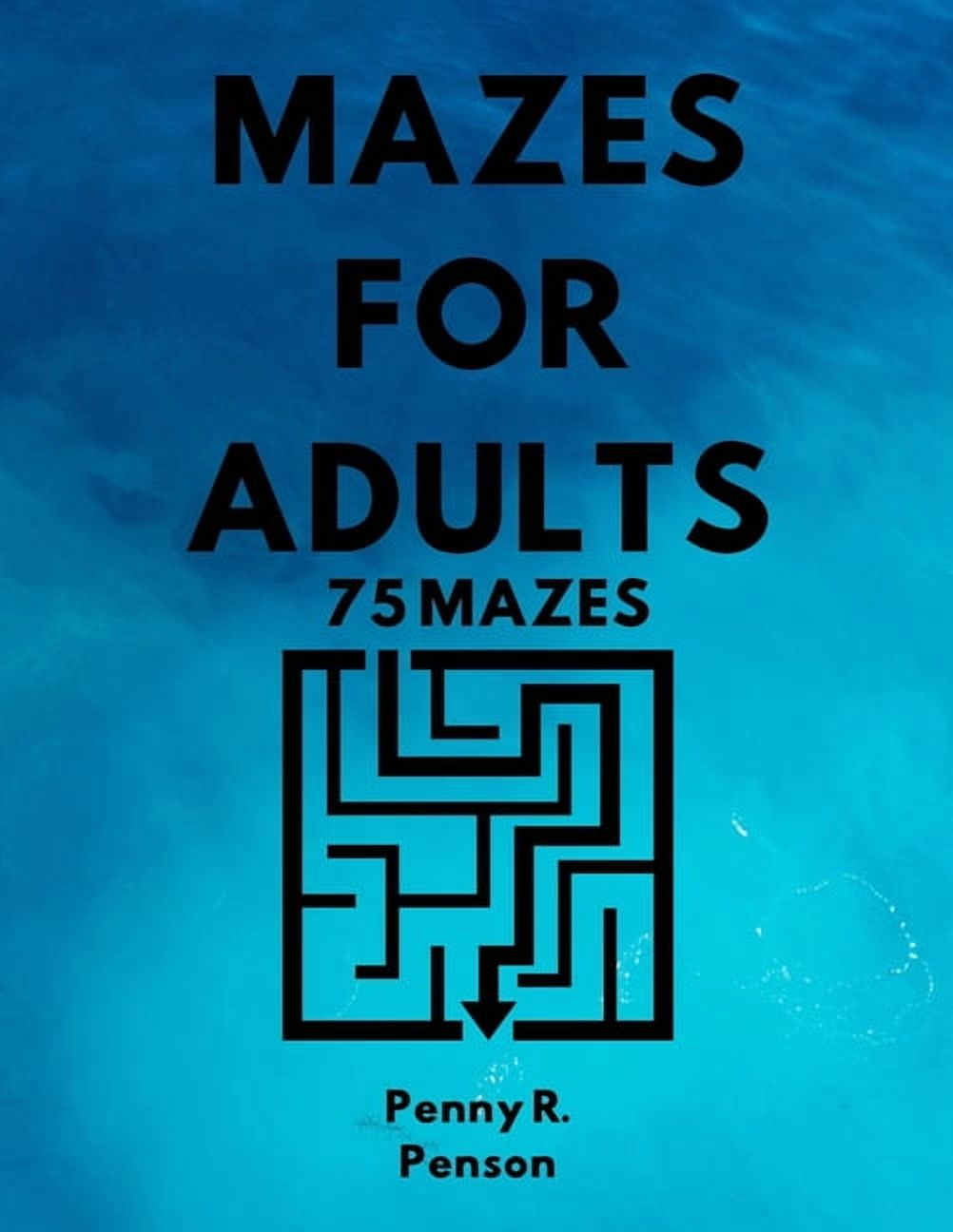 Mazes for Adults 75 Mazes Penny R. Penson: Maze Book with BRAND NEW ...