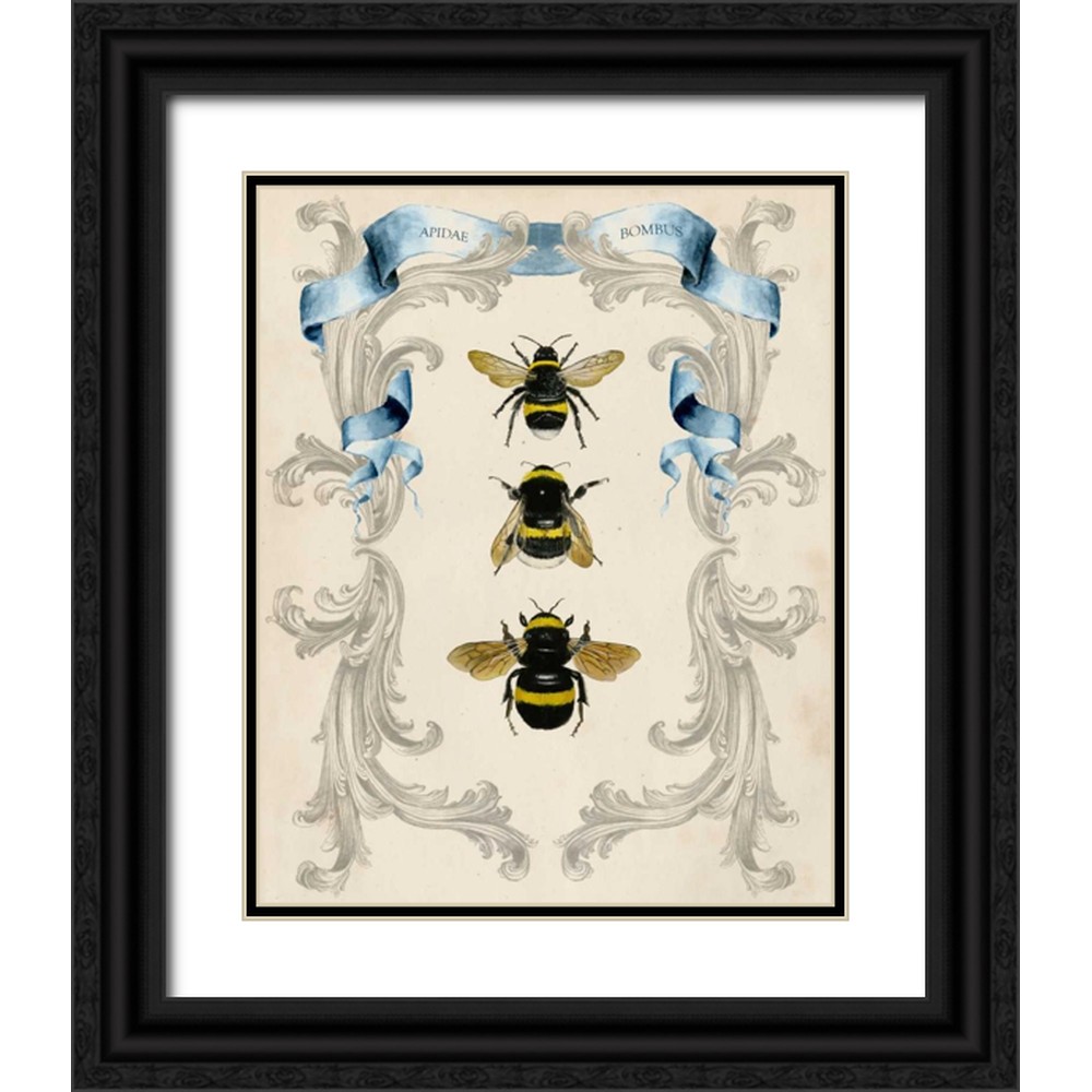 McCavitt, Naomi 12x14 Black Ornate Wood Framed with Double Matting ...