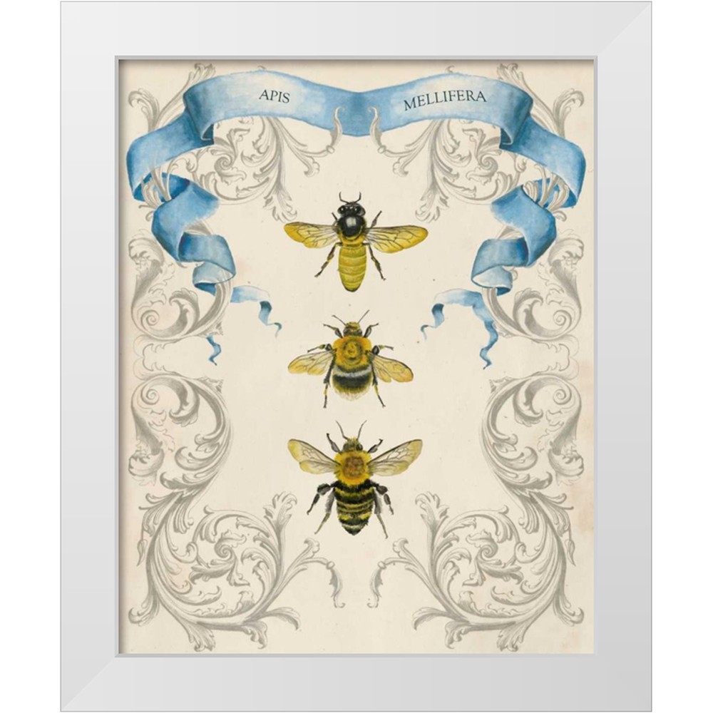 McCavitt, Naomi 12x14 White Modern Wood Framed Museum Art Print Titled ...