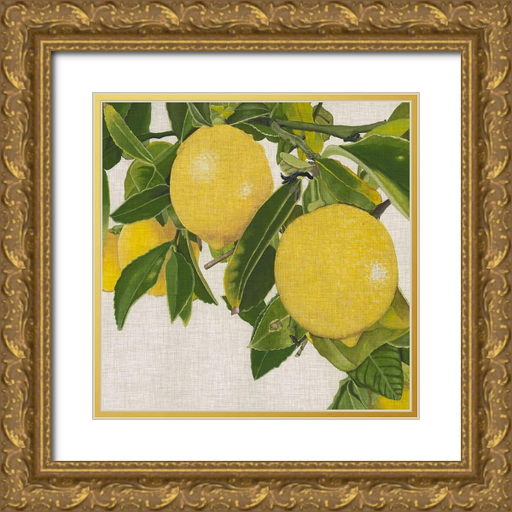 McCavitt, Naomi 15x15 Gold Ornate Wood Framed with Double Matting Museum Art Print Titled ...