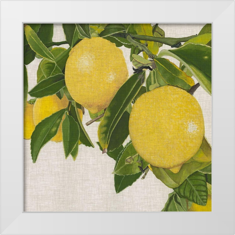 McCavitt, Naomi 15x15 White Modern Wood Framed Museum Art Print Titled - Bright Citrus IV (ASH ...