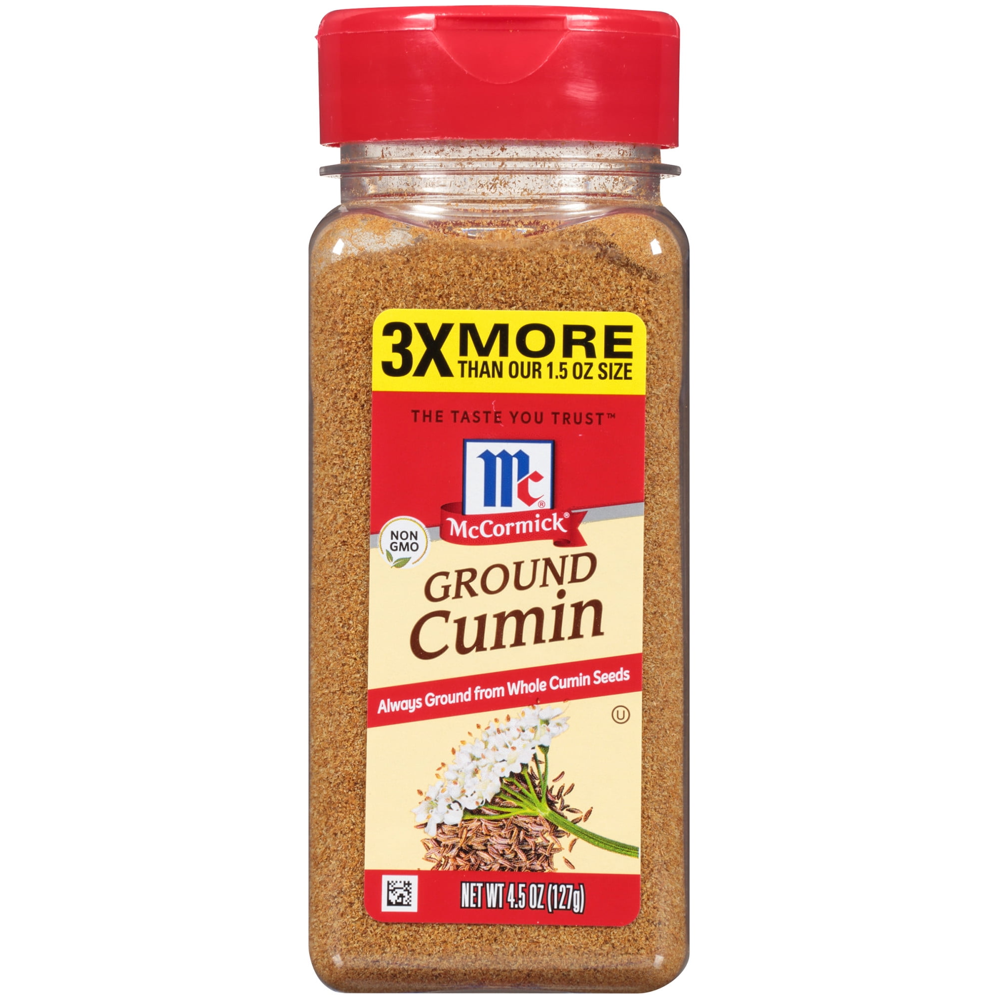 Cumin Seasoning