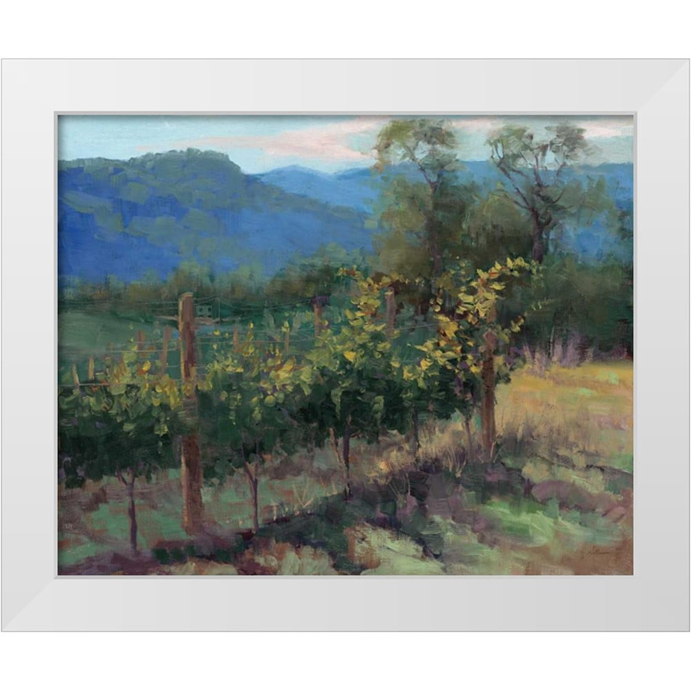 McGannon, Jill Schultz 14x12 White Modern Wood Framed Museum Art Print Titled - Vineyard On The ...