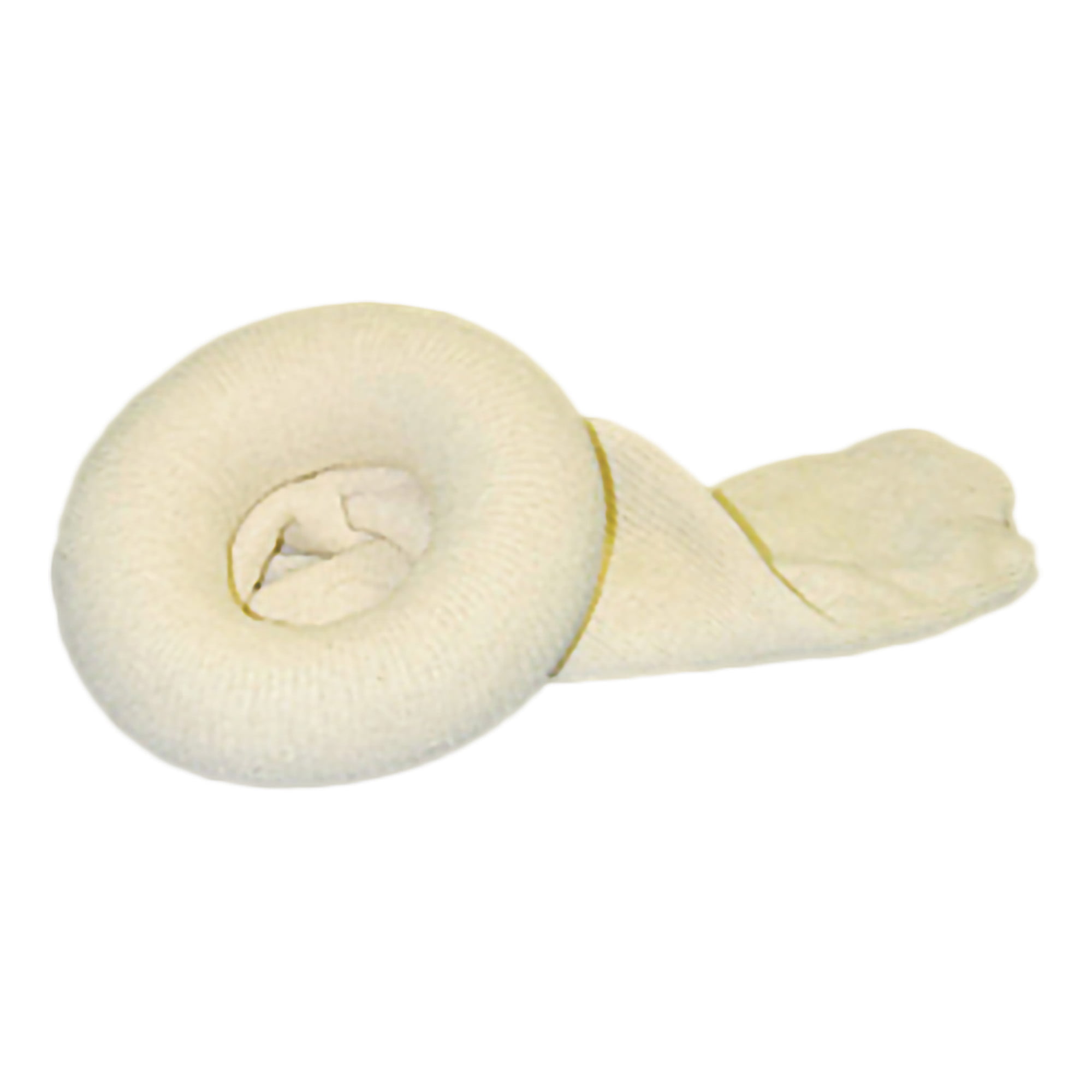 McKesson Tubular Stockinette, Sterile 2-Ply Rolled Cotton Tubular ...