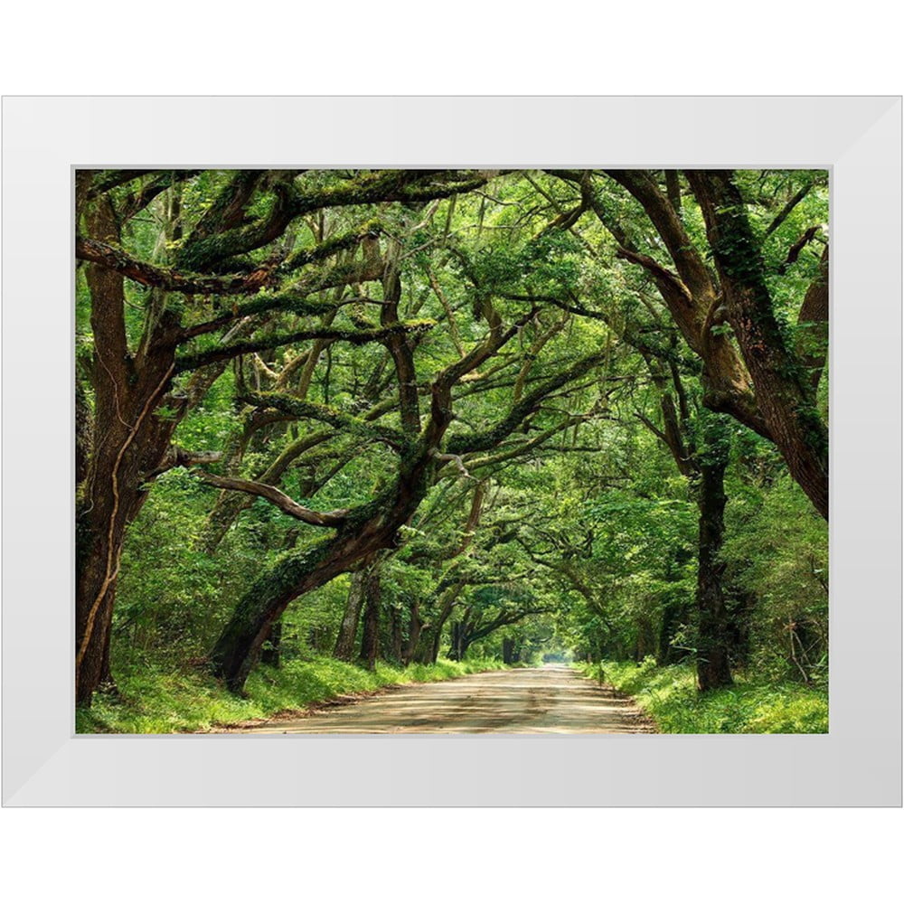 McLoughlin, James 32x25 White Modern Wood Framed Museum Art Print ...