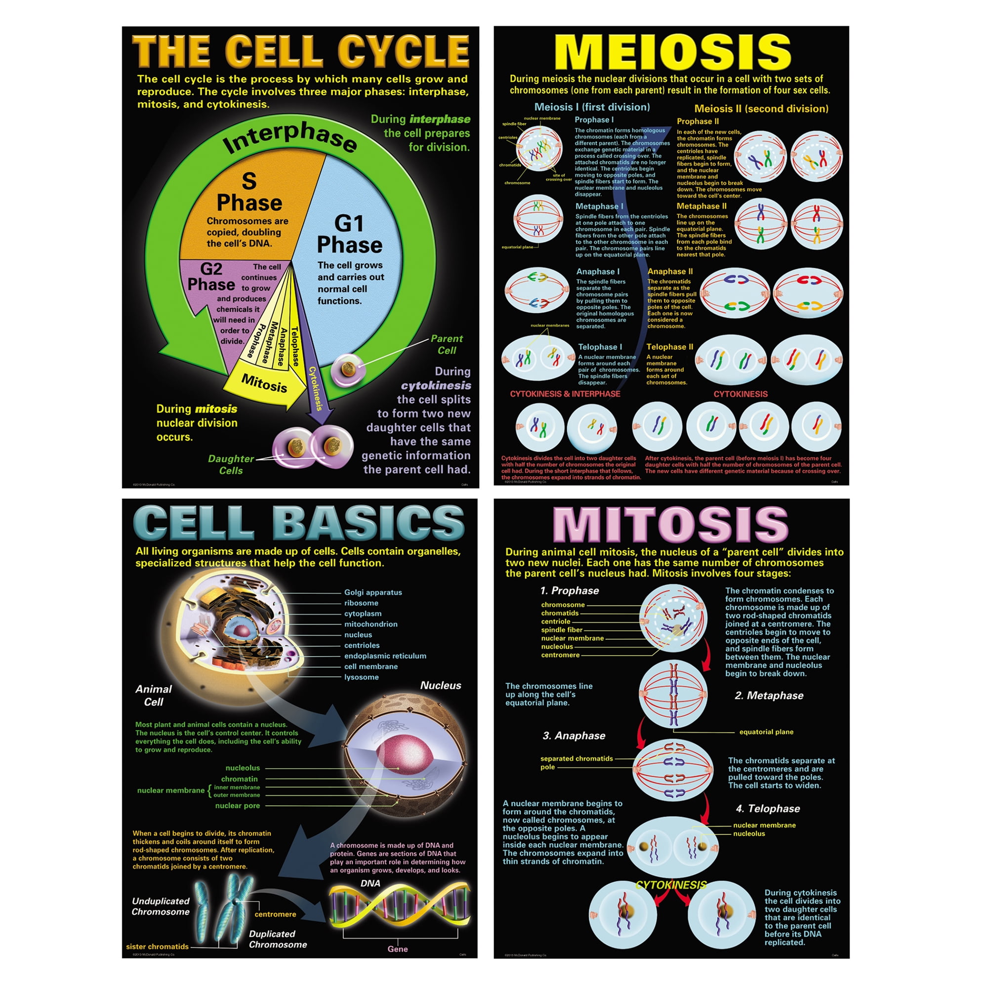 Mcdonald Publishing Cells Posters, Set of 4 - Walmart.com