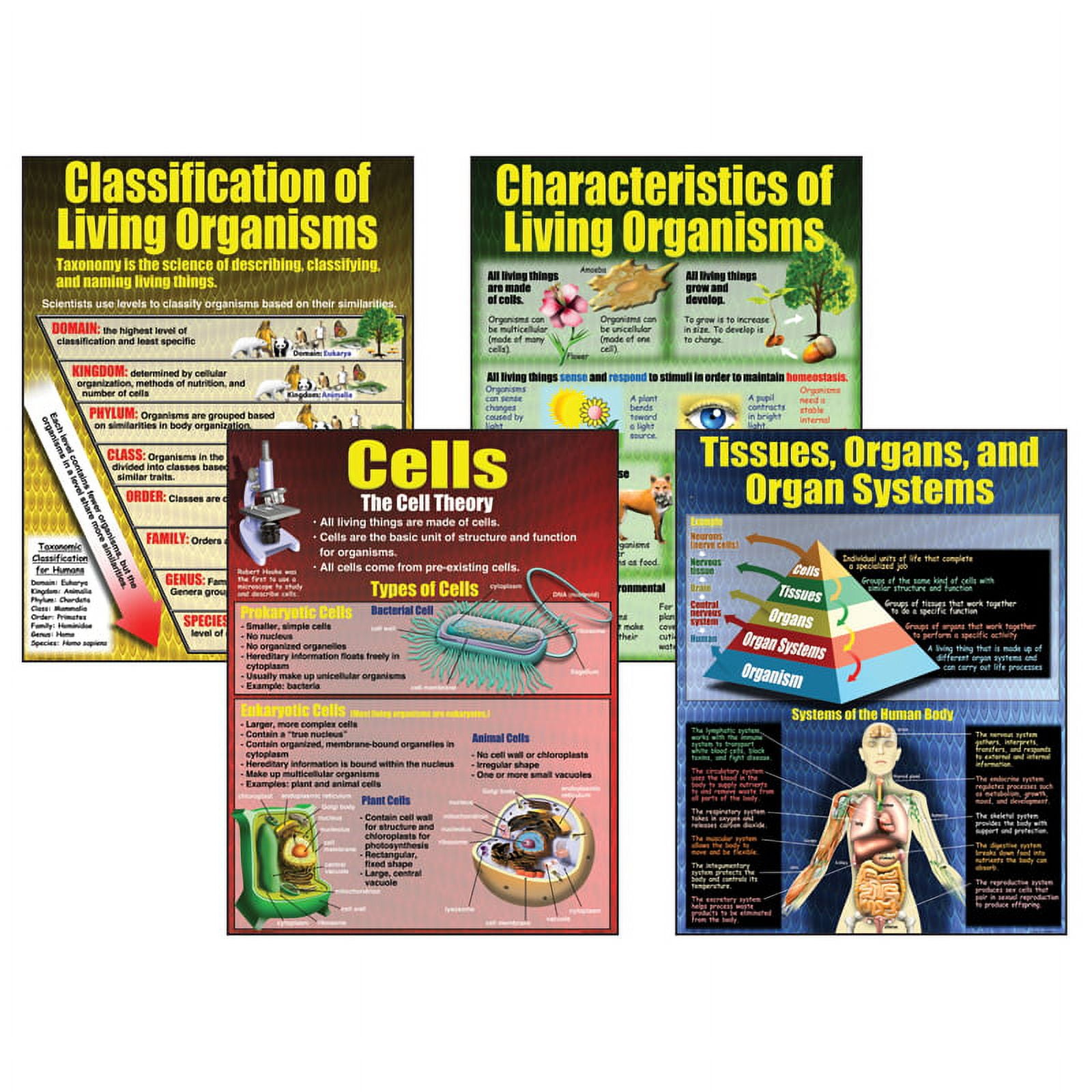 McDonald Publishing Living Organisms Posters, Set of 4 - Walmart.com