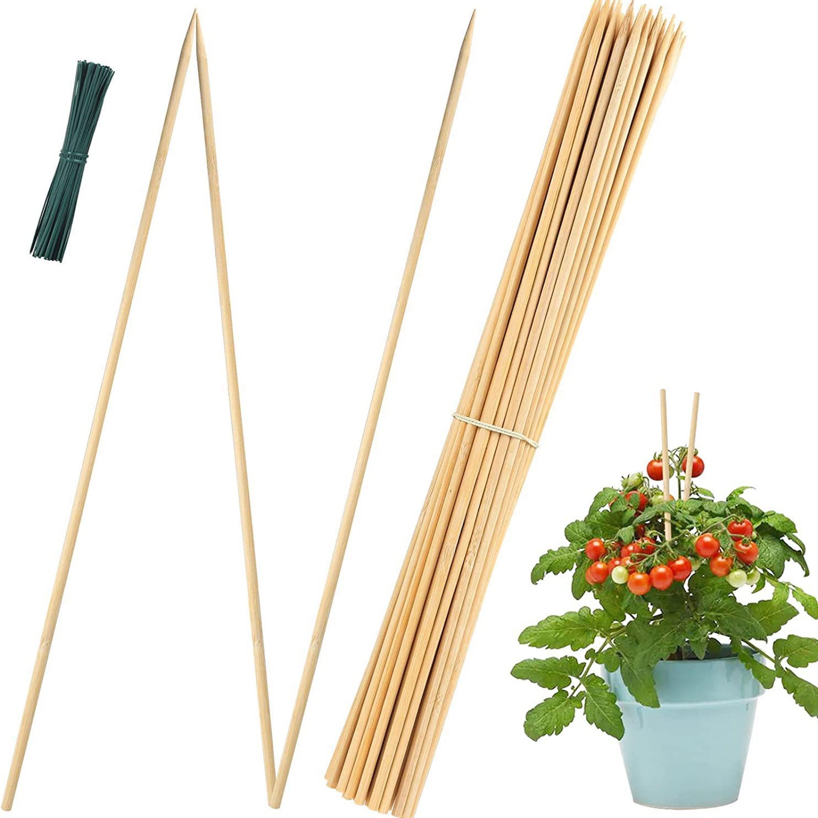 Mdesiwst 50Pcs Plant Support Frame Simple Installation Bamboo Plant ...