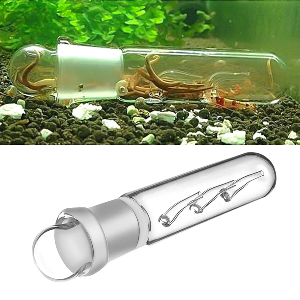 Mdesiwst Glass 3-Hole Aquarium Pest Catcher Fish Tank Planaria Leech ...