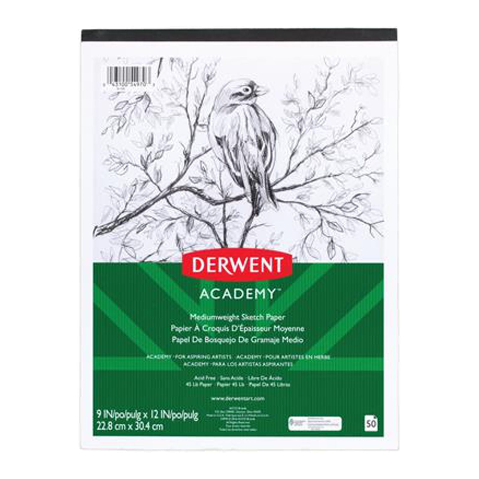 Mead 54970 Academy Sketch Pad, Medium Weight, 9 x 12 In., 50 Sheets ...