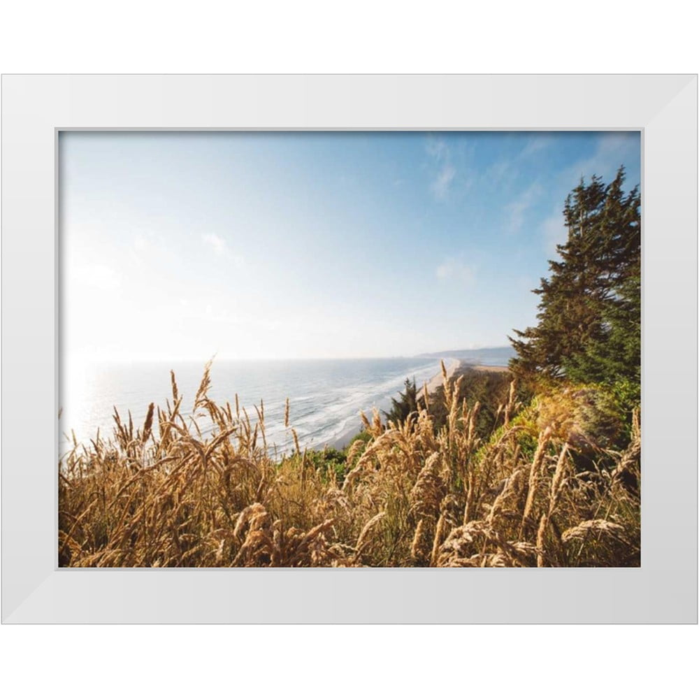 Mead, Adam 18x15 White Modern Wood Framed Museum Art Print Titled ...