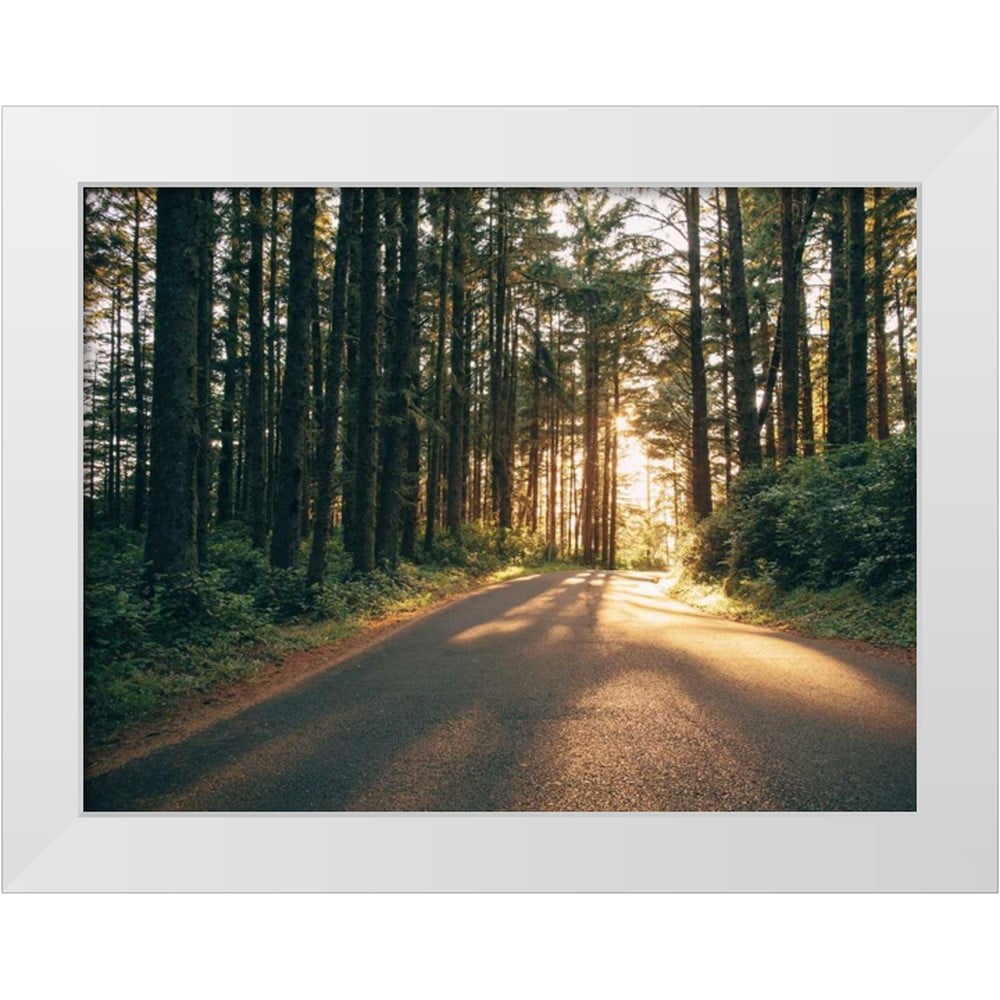 Mead, Adam 24x19 White Modern Wood Framed Museum Art Print Titled ...