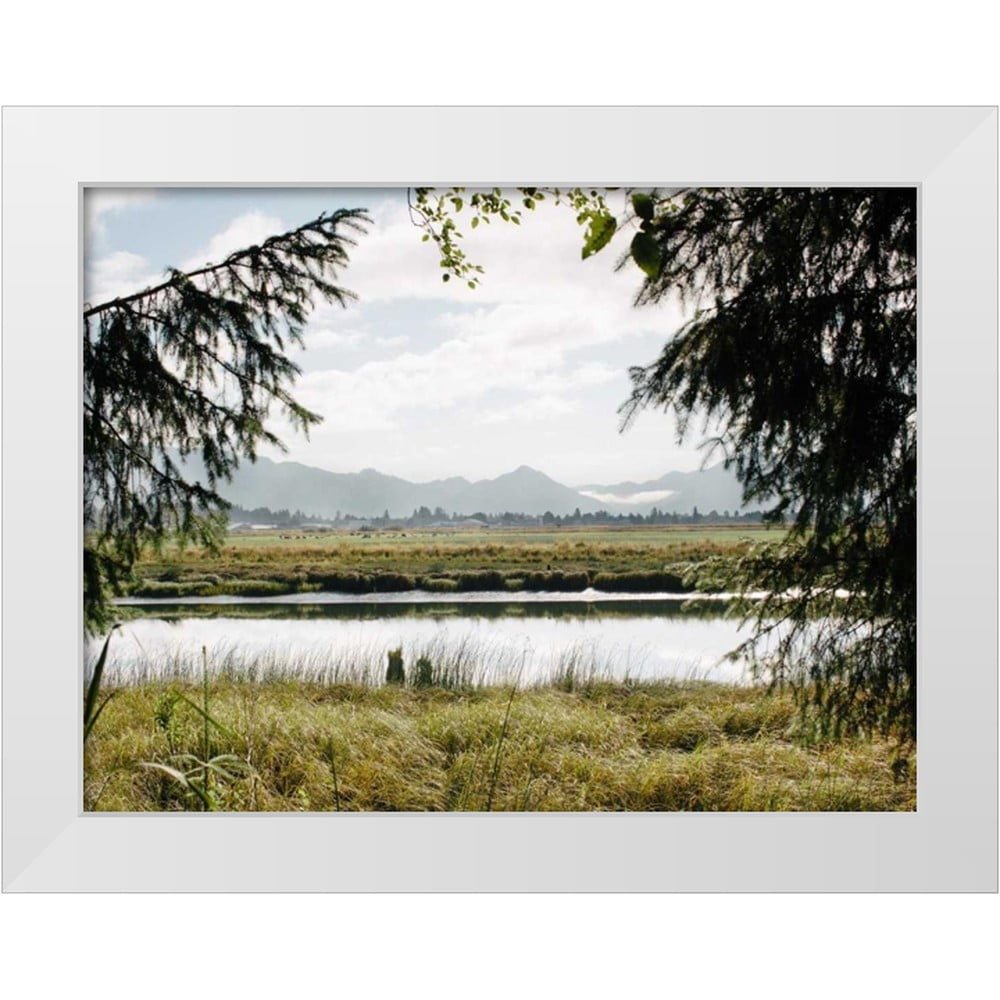 Mead, Adam 24x19 White Modern Wood Framed Museum Art Print Titled ...