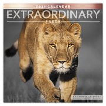 Mead Planners in Calendars and Planners - Walmart.com