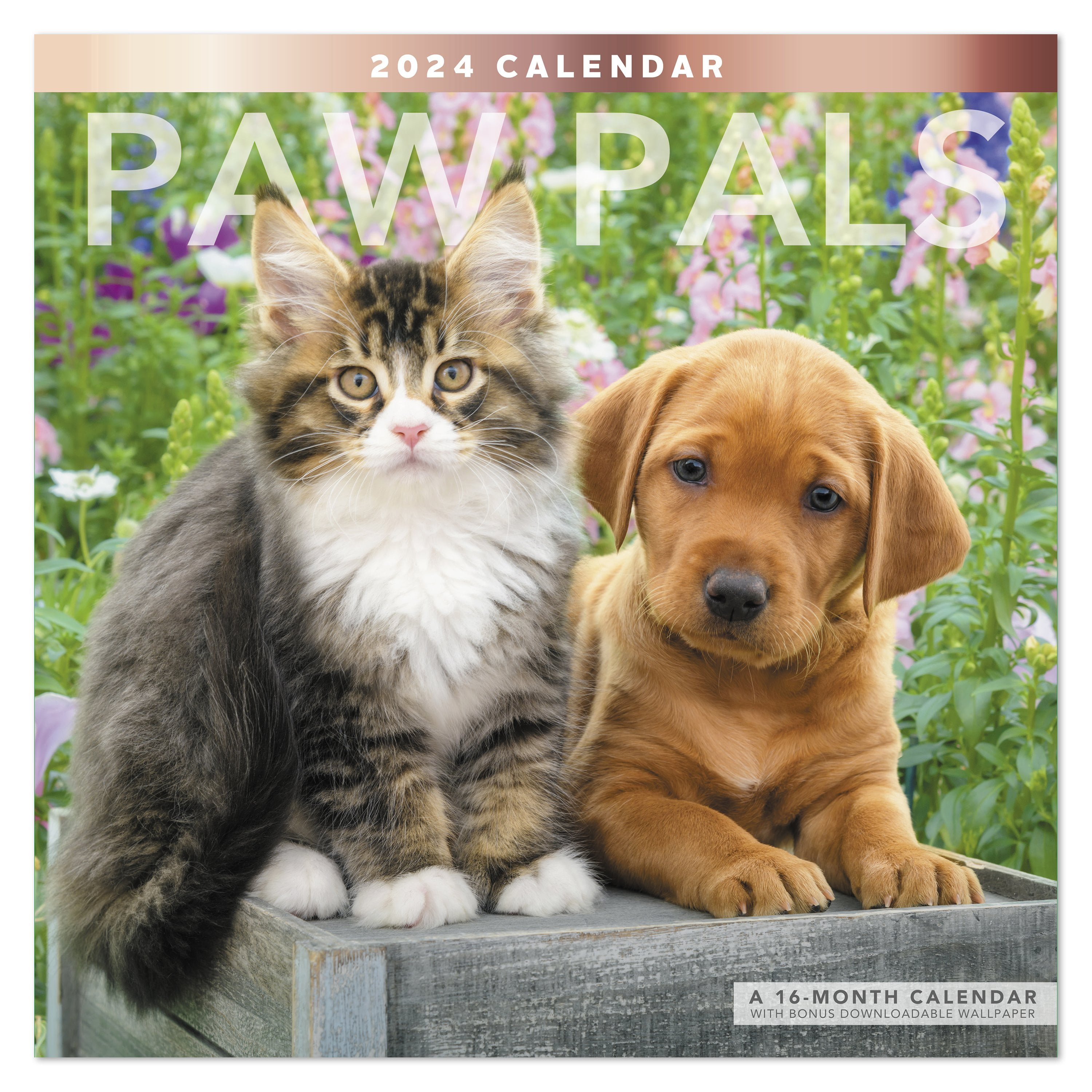 Mead Paw Pals Wall Calendar - Walmart.com