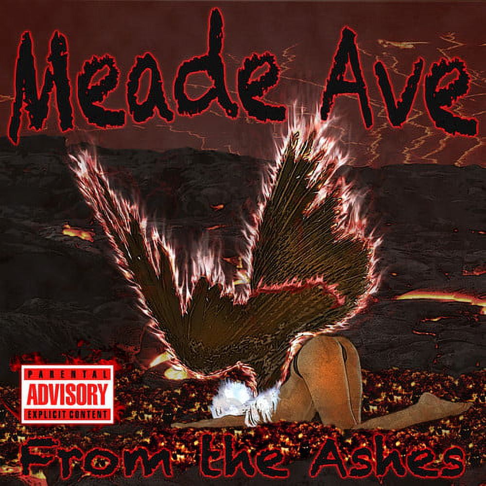Meade Ave - From The Ashes - Music & Performance - CD - Walmart.com