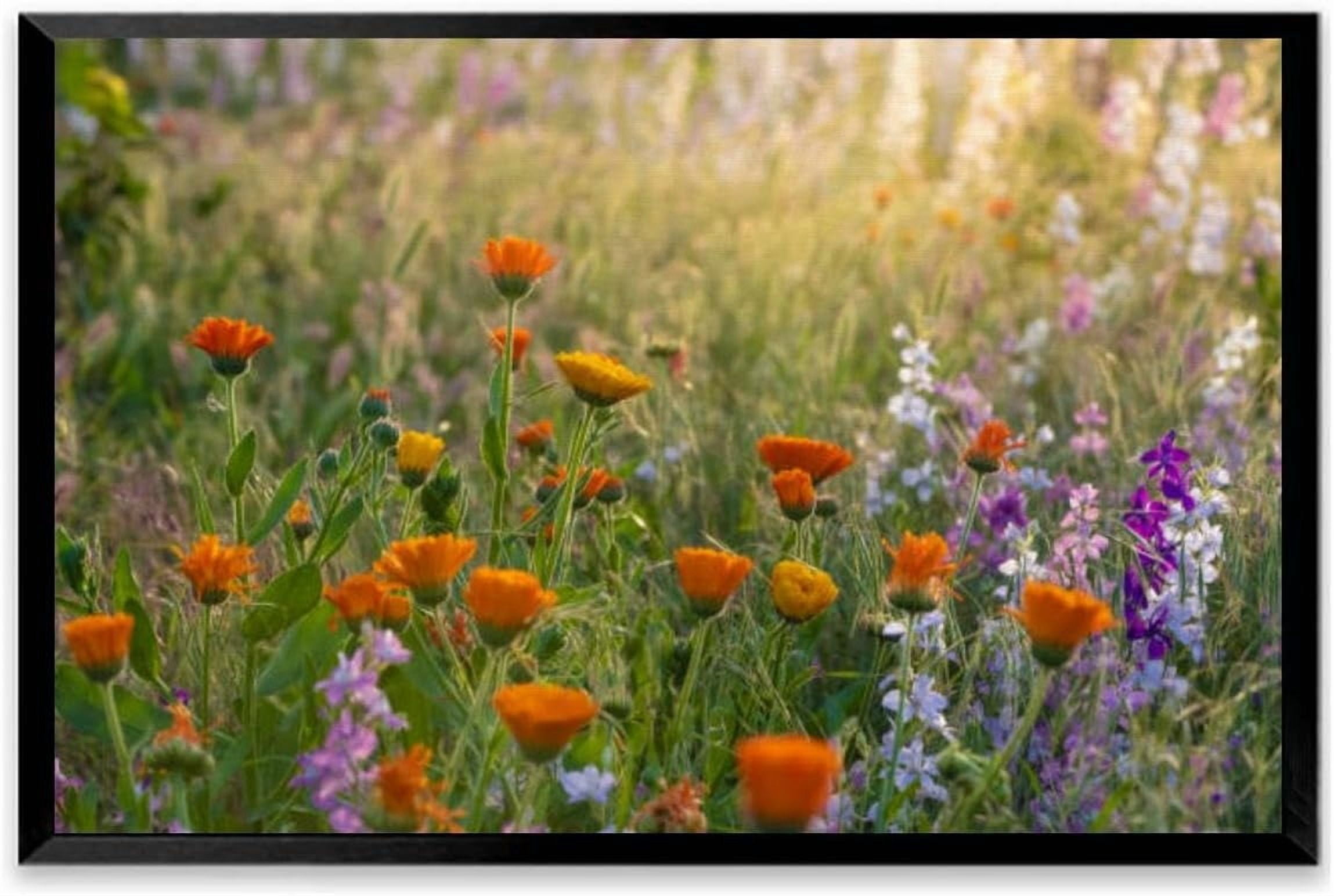 Meadow blooming wildflowers vibrant colors Black Framed Canvas Wall Art ...