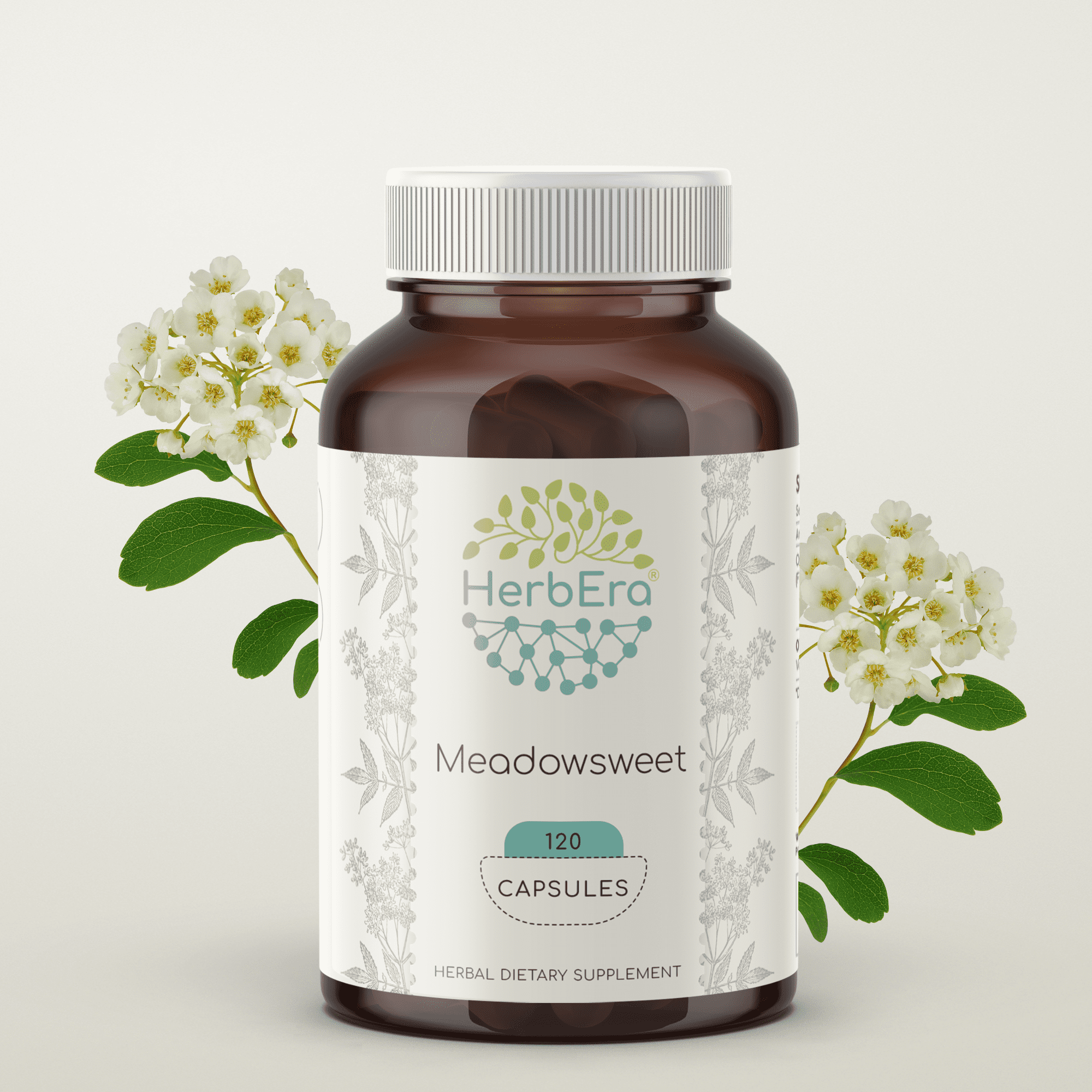 HerbEra Meadowsweet Capsules, Herbal Dietary Supplement for Joint and Digestive Support ...