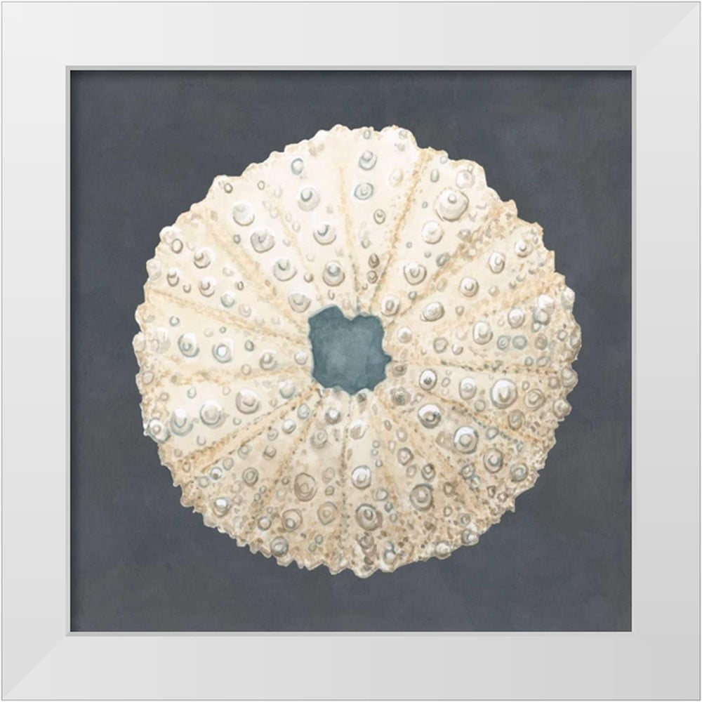 Meagher, Megan 15x15 White Modern Wood Framed Museum Art Print Titled ...