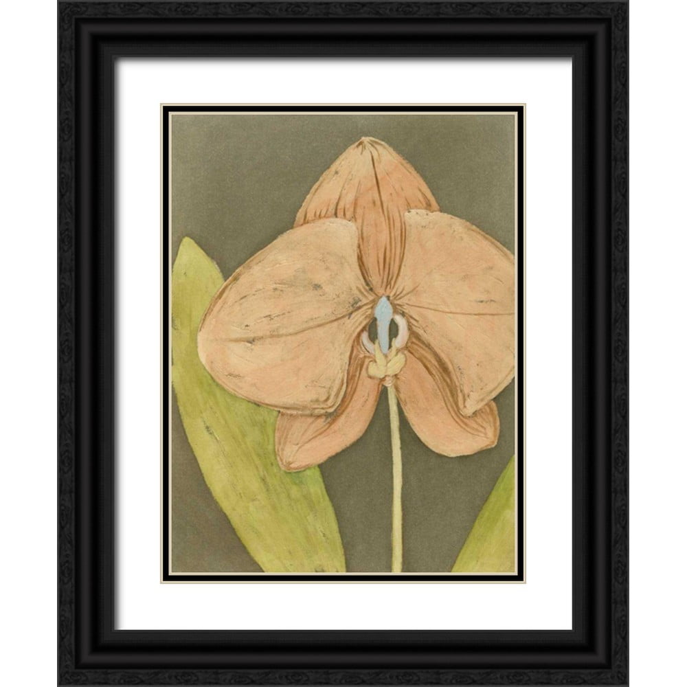 Meagher, Megan 15x18 Black Ornate Wood Framed with Double Matting ...