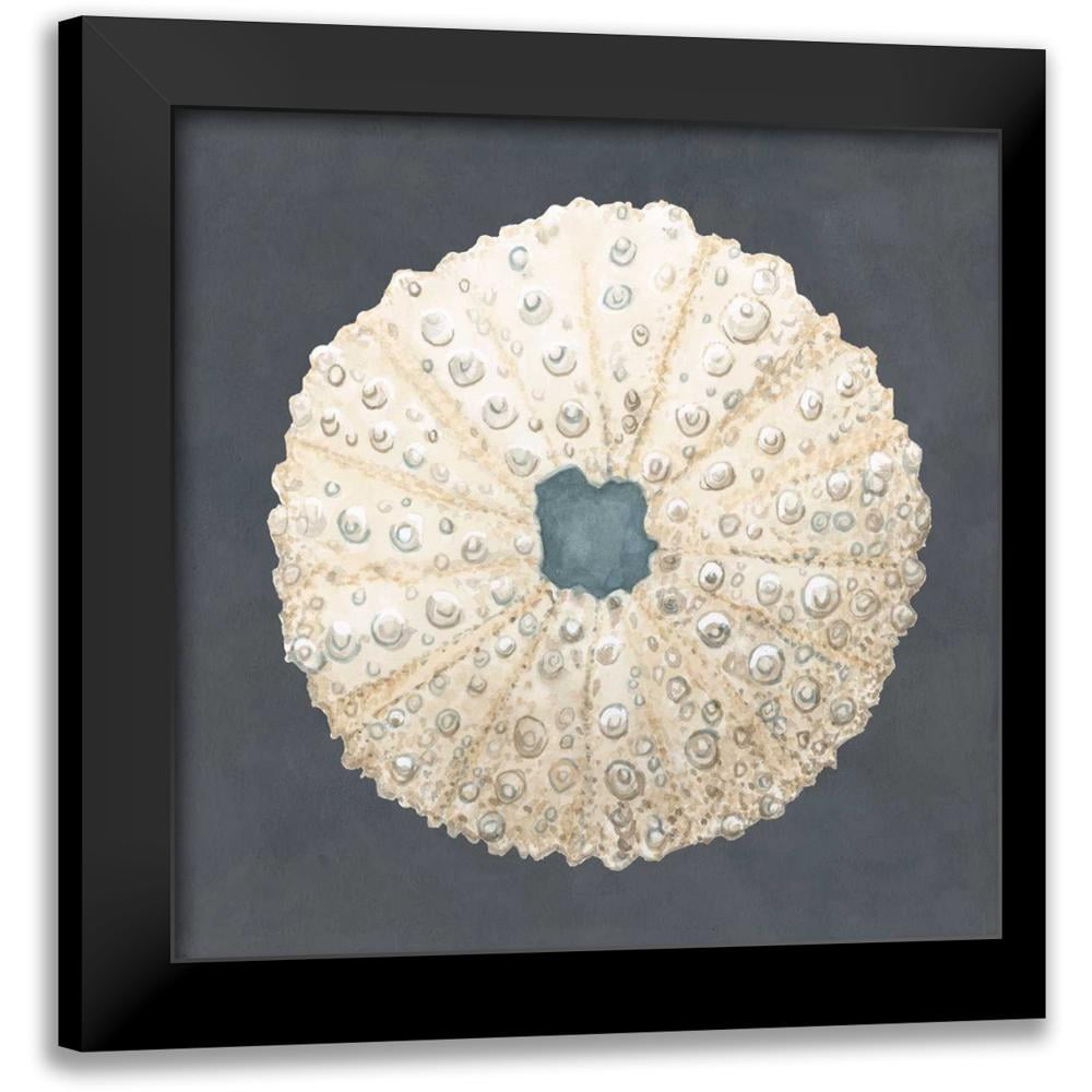 Meagher, Megan 20x20 Black Modern Framed Museum Art Print Titled ...