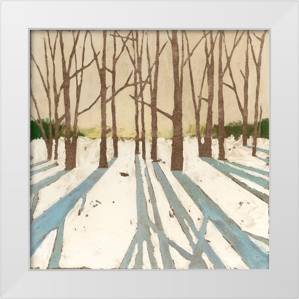 Meagher, Megan 20x20 White Modern Wood Framed Museum Art Print Titled ...