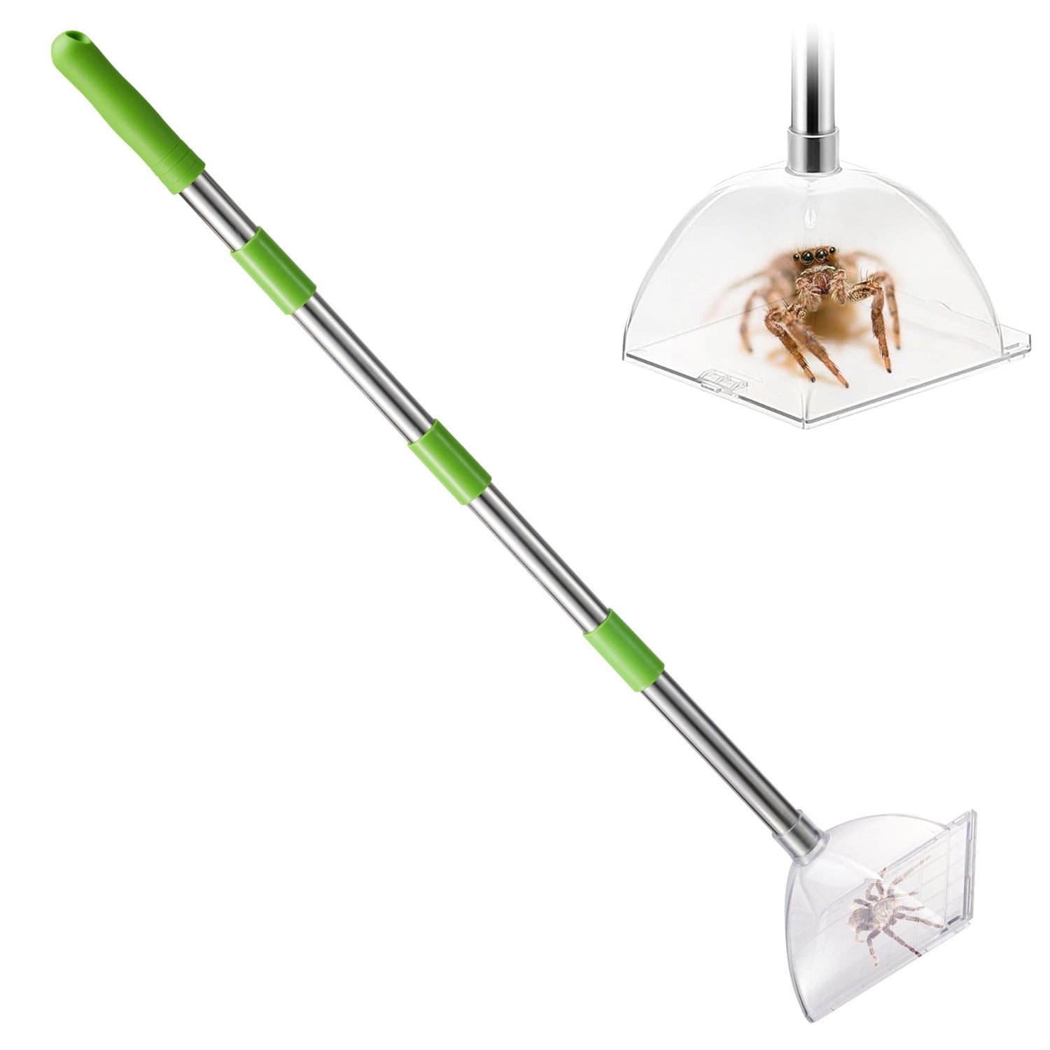 Meamaz Large Humane Spider Catcher (31” Extended Handle) - Contactless ...