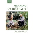 Meaning and Normativity, (Paperback) - Walmart.com