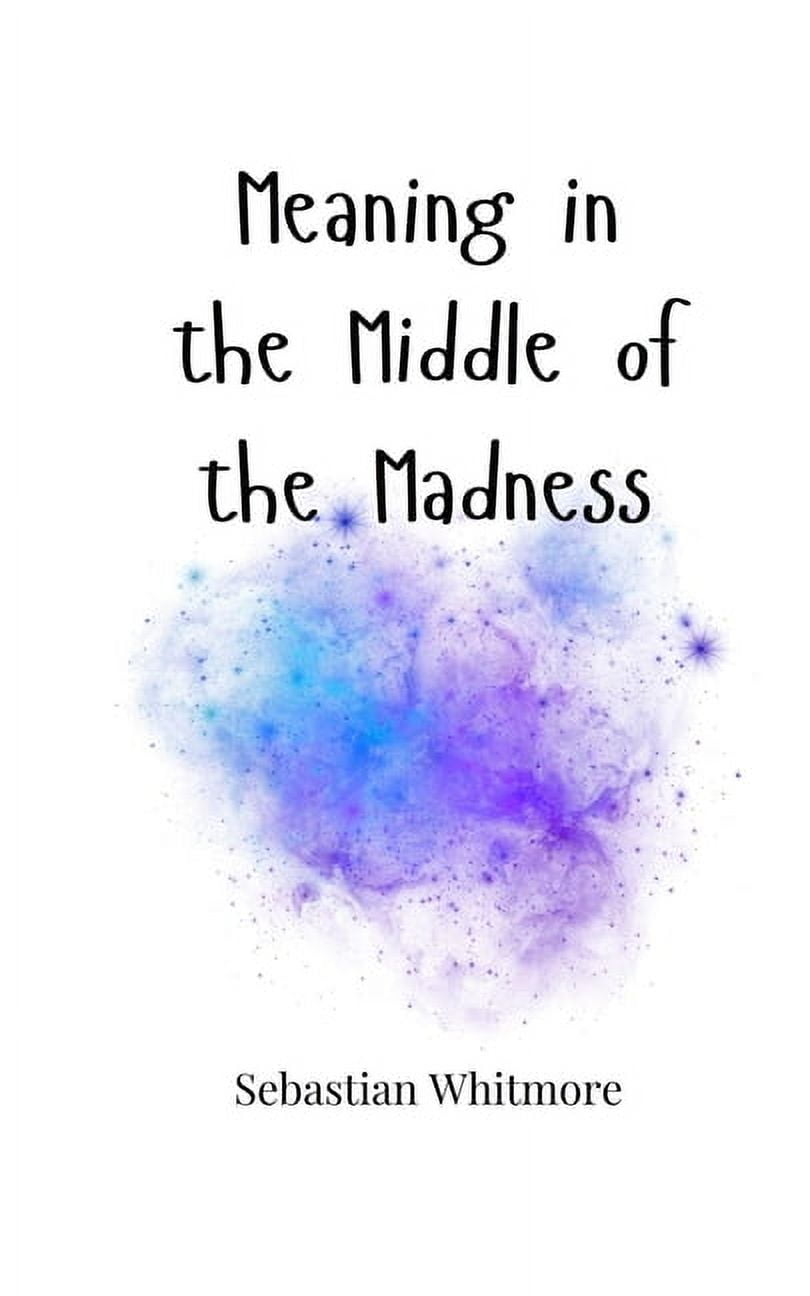 Meaning in the Middle of the Madness, (Paperback) - Walmart.com