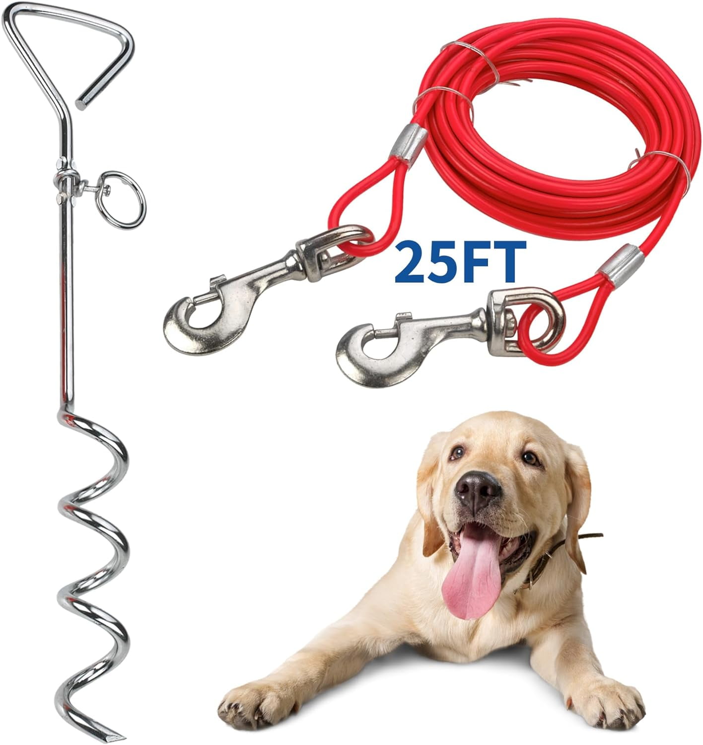 MeasuPro Chrome Dog Stake & Leash Lead Set - 25-Foot Cable, Stainless ...