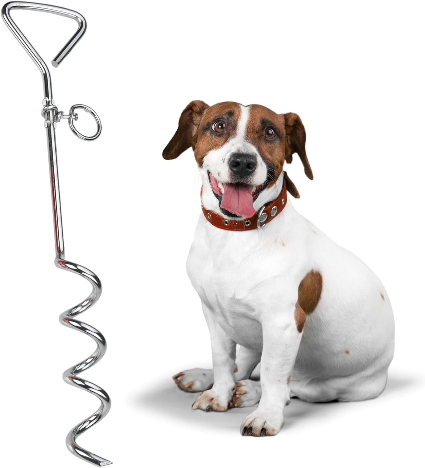 MeasuPro Chrome Dog Stake - Stainless Steel Heavy-Duty Outdoor Tie-Out ...