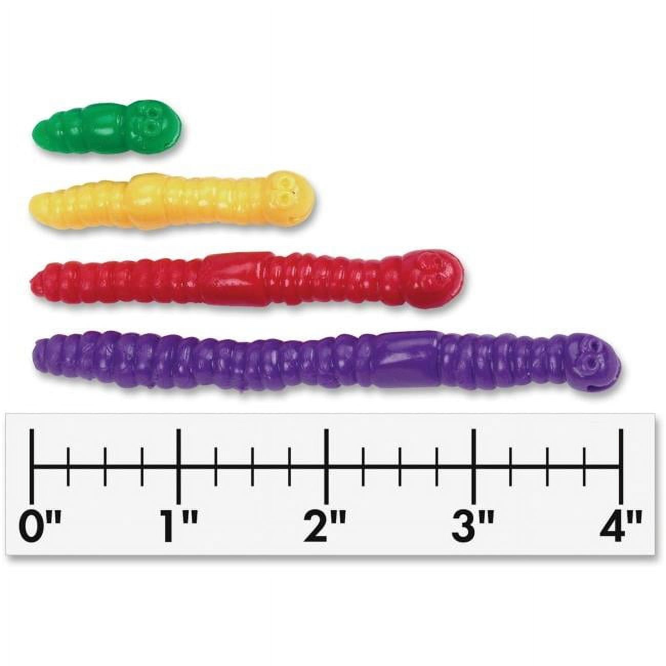 Measuring Worms - Multicolor - Walmart.com