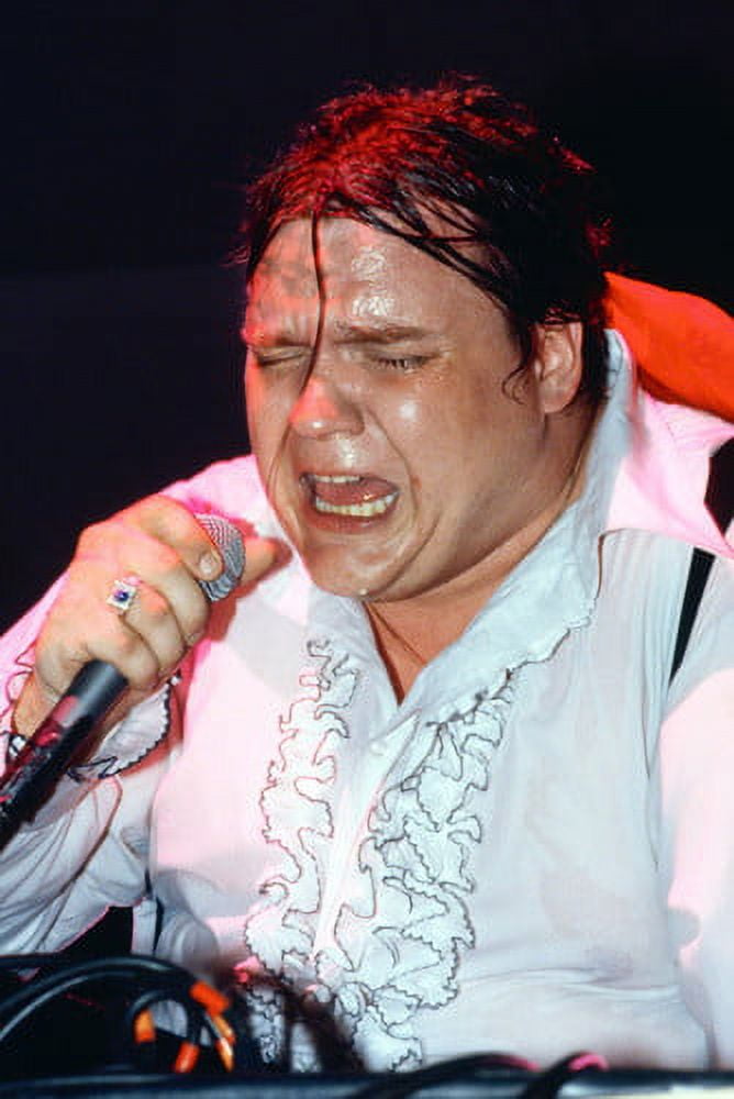 Meat Loaf 24x36 Poster - Walmart.com