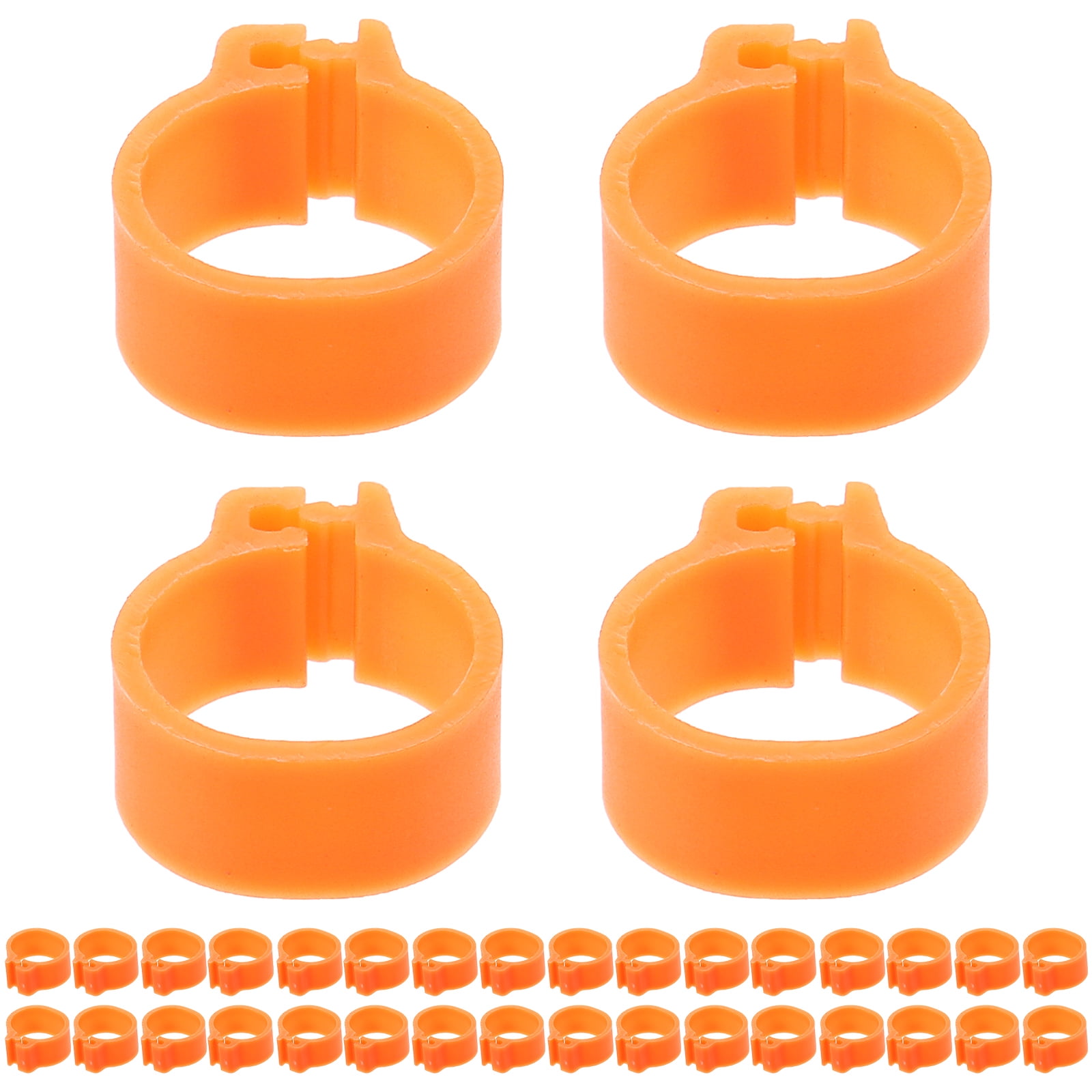 Meat Pigeon Anklet Identification Cockatiel Leg Ring Chicken ...