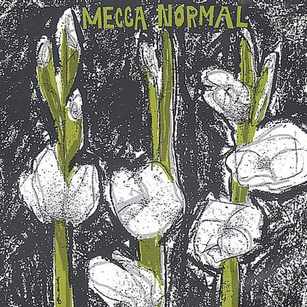 Mecca Normal - Mecca Normal - Music & Performance - CD - Walmart.com