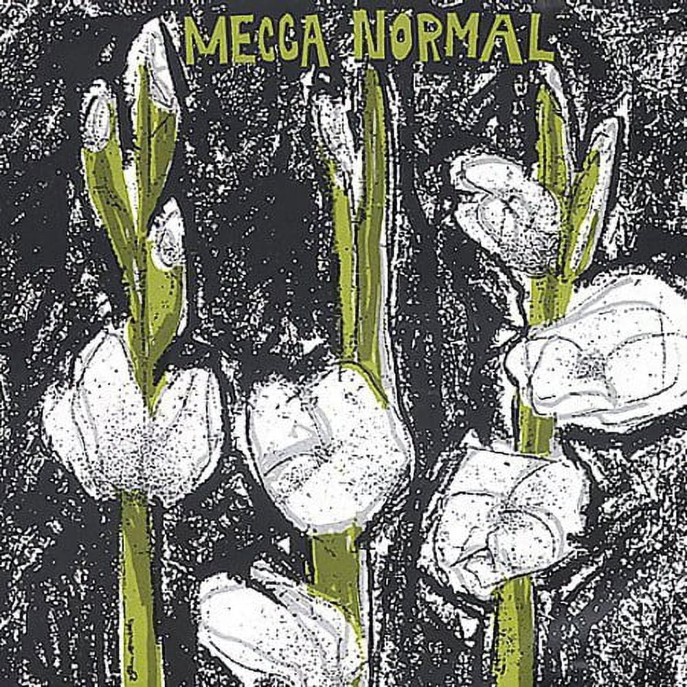 Mecca Normal - Mecca Normal - Vinyl - Walmart.com